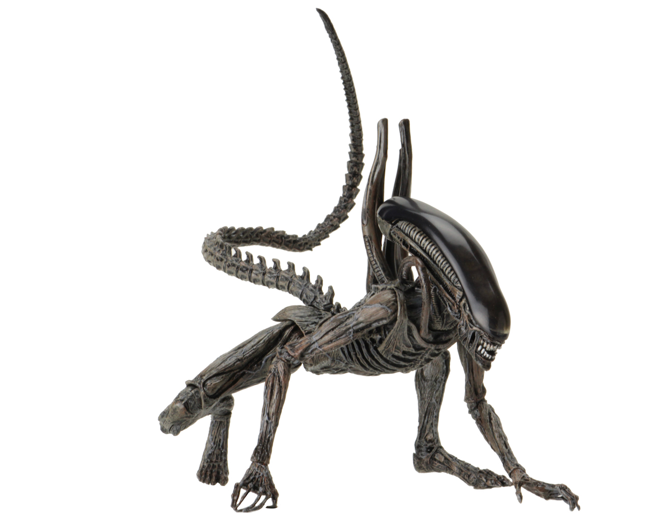 NECA Toys Alien: Covenant Product Line Official Details & Images