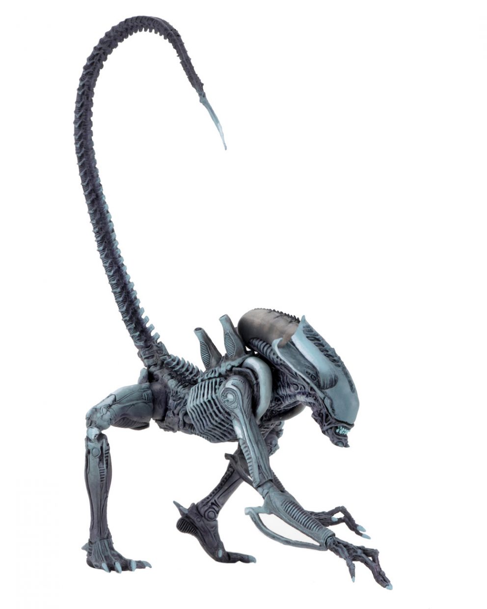NECA Toys Alien Vs Predator - Arcade Appearance 7" Scale Alien ...