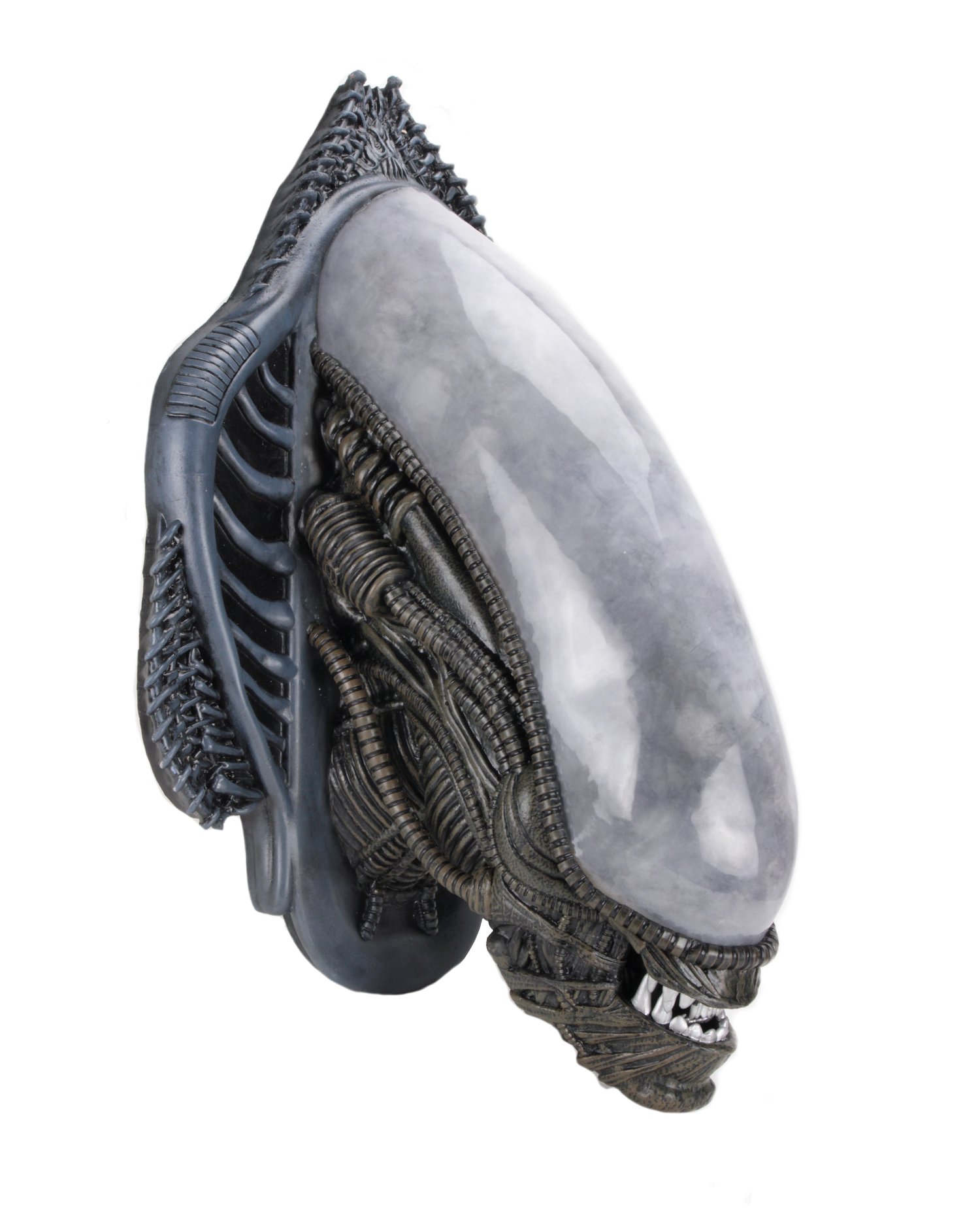 NECA Toys Predator & Alien Xenomorph Wall-Mounted Bust Available Now
