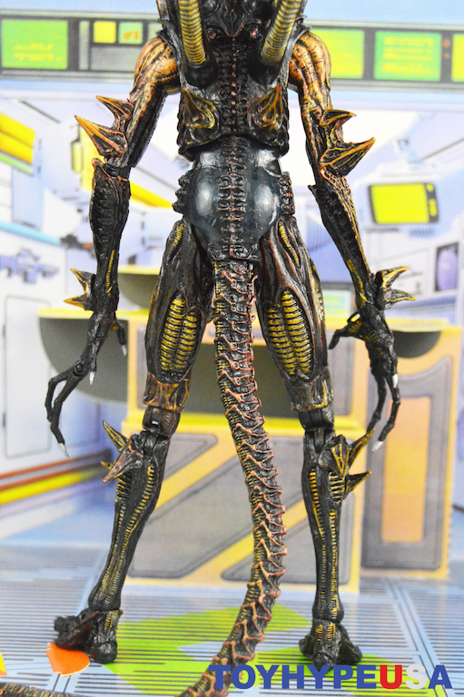 NECA Toys Aliens Series 13 – Sgt. Apone, Snake Alien & Scorpion Alien ...
