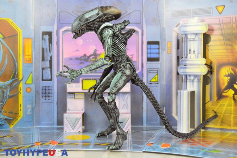 NECA Toys Alien Vs Predator - Arcade Appearance 7" Scale Alien ...