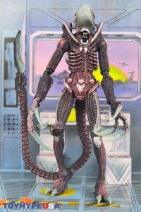 NECA Toys Alien Vs Predator - Arcade Appearance 7" Scale Alien ...