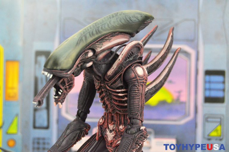 NECA Toys Alien Vs Predator - Arcade Appearance 7" Scale Alien ...