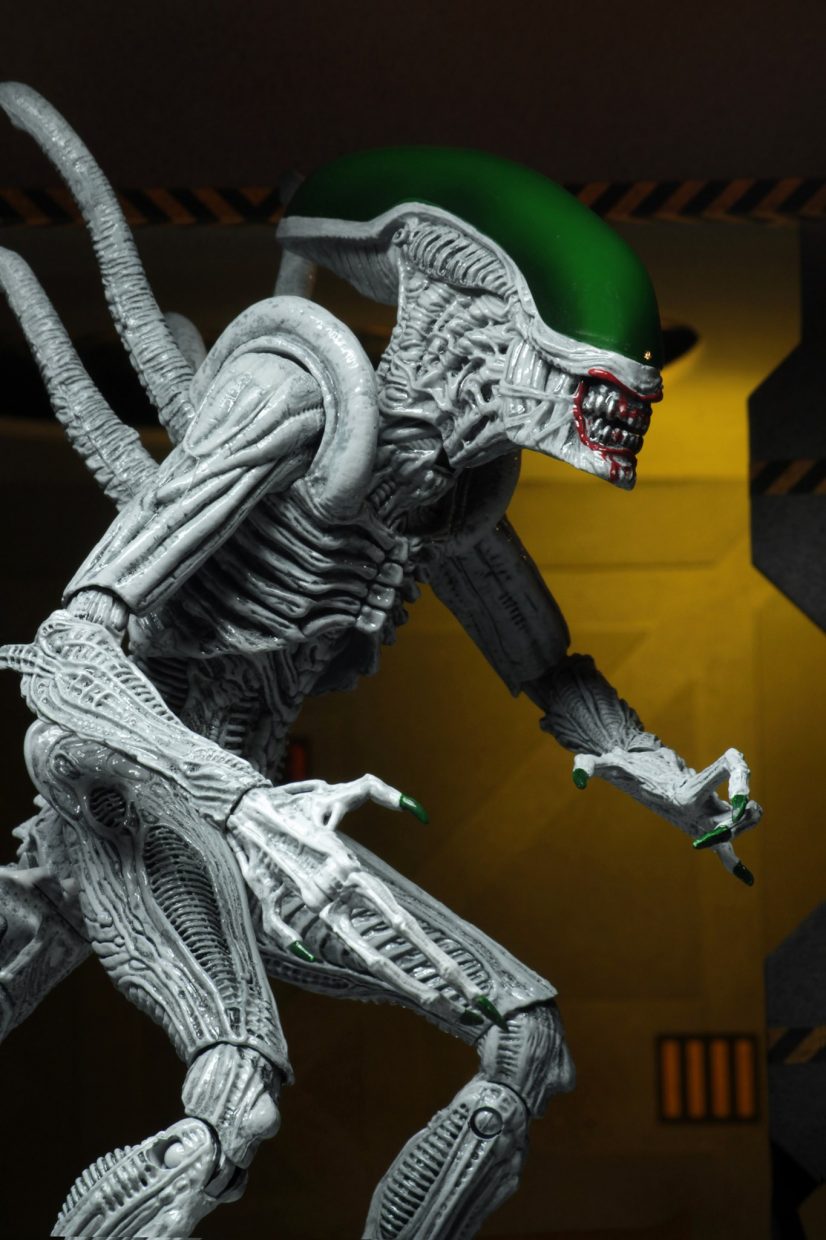 NECA Toys New York Comic-Con 2019 Exclusive - Batman & Alien Figures 2-Pack