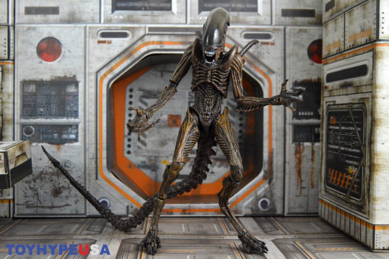 NECA Toys Alien 3 Creature Pack, Alien: Resurrection Ripley 8 ...