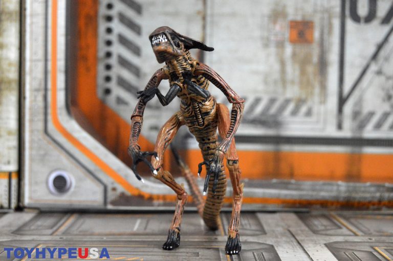 NECA Toys Alien 3 Creature Pack, Alien: Resurrection Ripley 8 ...