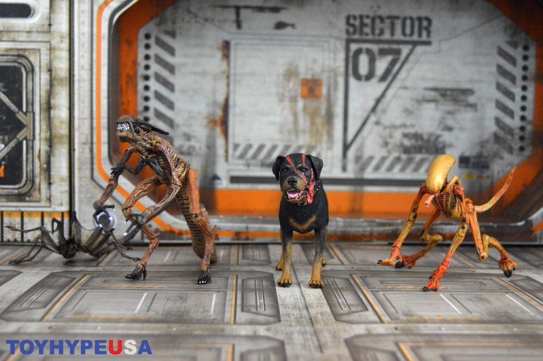NECA Toys Alien 3 Creature Pack, Alien: Resurrection Ripley 8 ...