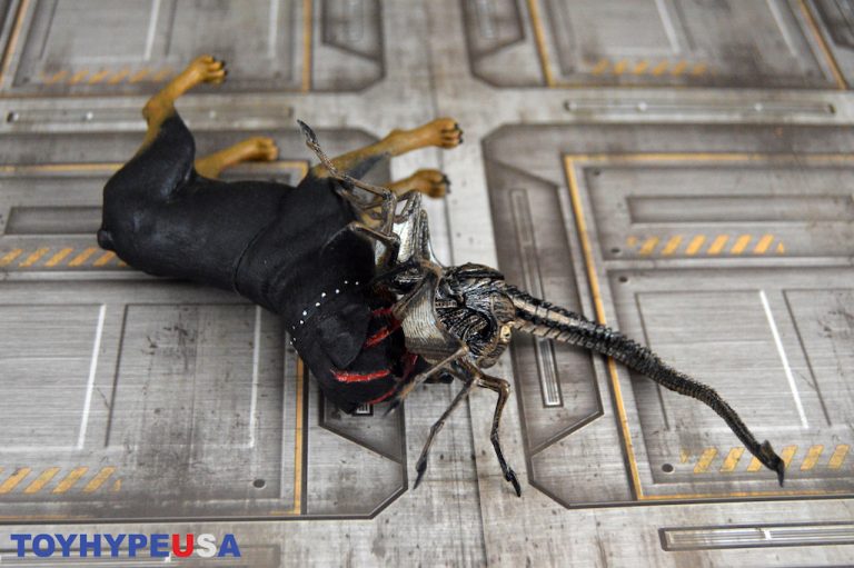 NECA Toys Alien 3 Creature Pack, Alien: Resurrection Ripley 8 ...
