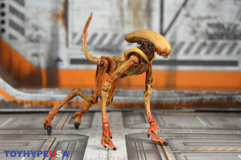 NECA Toys Alien 3 Creature Pack, Alien: Resurrection Ripley 8 ...