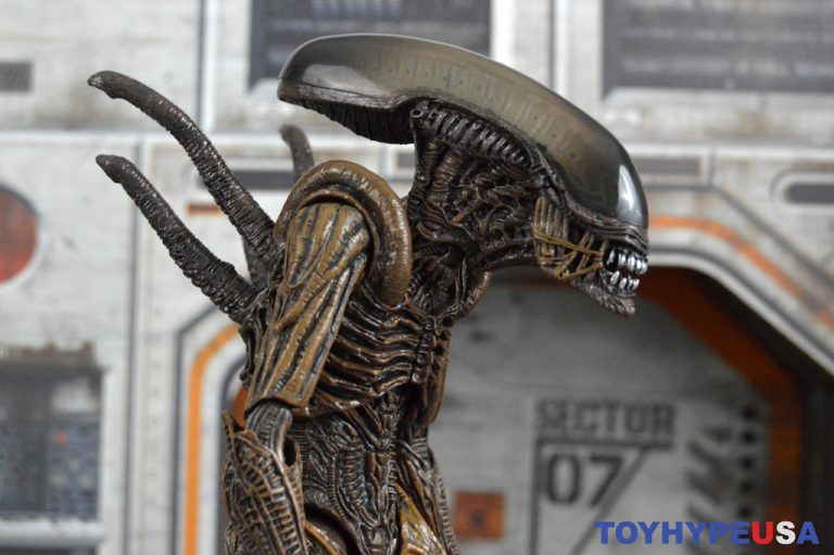 NECA Toys Alien 3 Creature Pack, Alien: Resurrection Ripley 8 ...