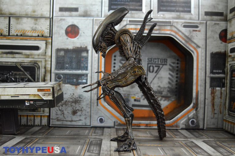 NECA Toys Alien 3 Creature Pack, Alien: Resurrection Ripley 8 ...