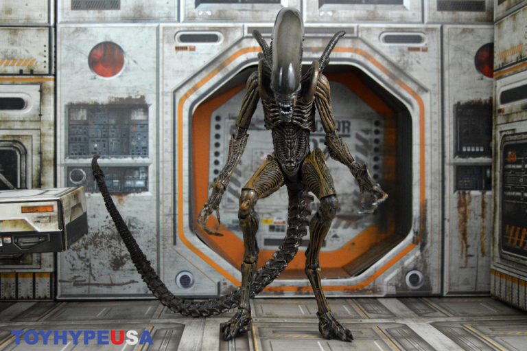 NECA Toys Alien 3 Creature Pack, Alien: Resurrection Ripley 8 ...