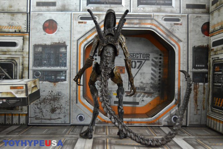 NECA Toys Alien 3 Creature Pack, Alien: Resurrection Ripley 8 ...