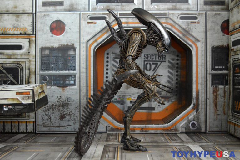 NECA Toys Alien 3 Creature Pack, Alien: Resurrection Ripley 8 ...