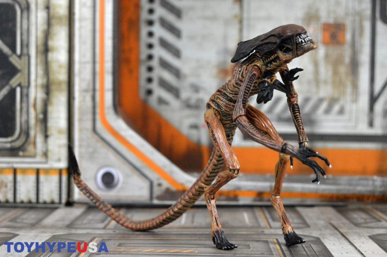 NECA Toys Alien 3 Creature Pack, Alien: Resurrection Ripley 8 ...