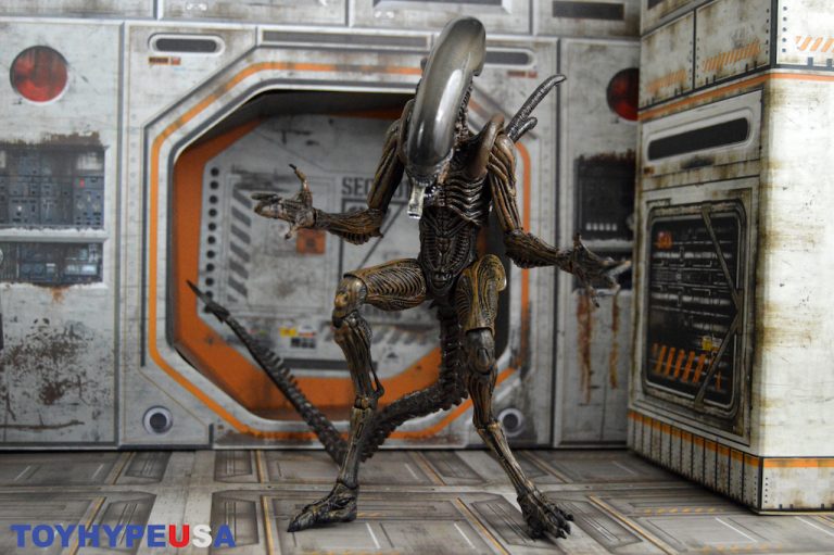 NECA Toys Alien 3 Creature Pack, Alien: Resurrection Ripley 8 ...