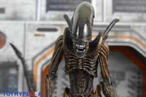 NECA Toys Alien 3 Creature Pack, Alien: Resurrection Ripley 8 ...