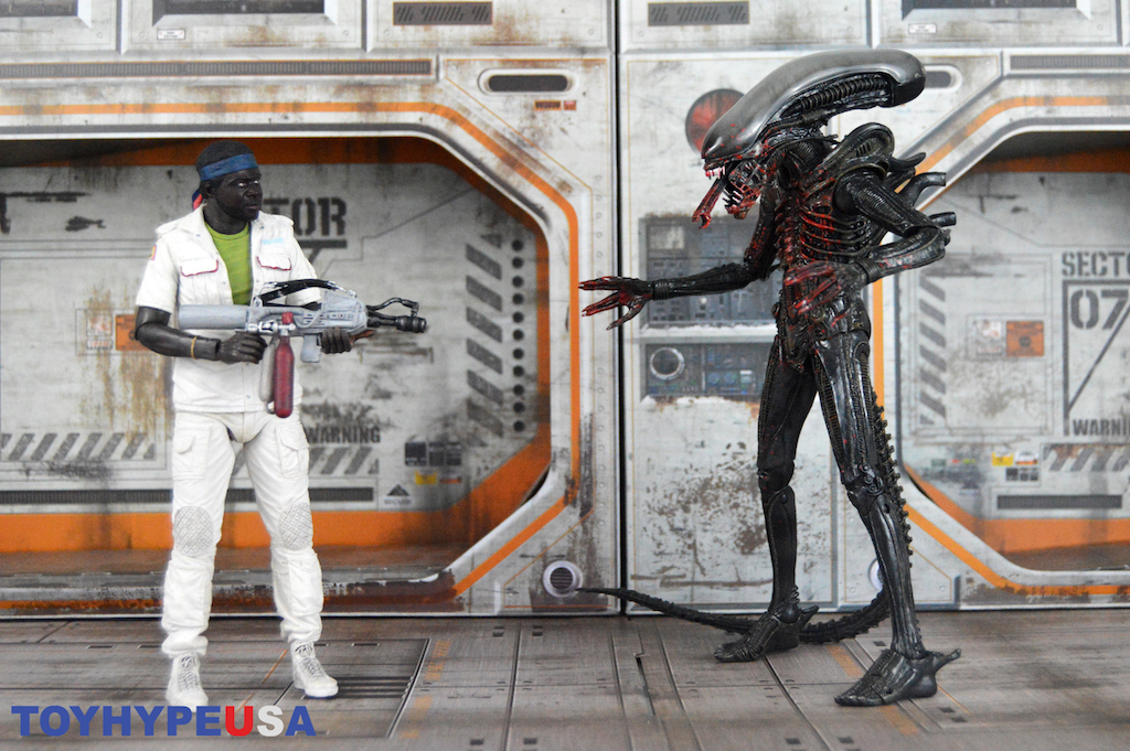 NECA Toys Alien 40th Anniversary Series 2 Figures Review