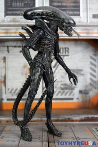 NECA Toys Alien 40th Anniversary Series 3 Figures Review