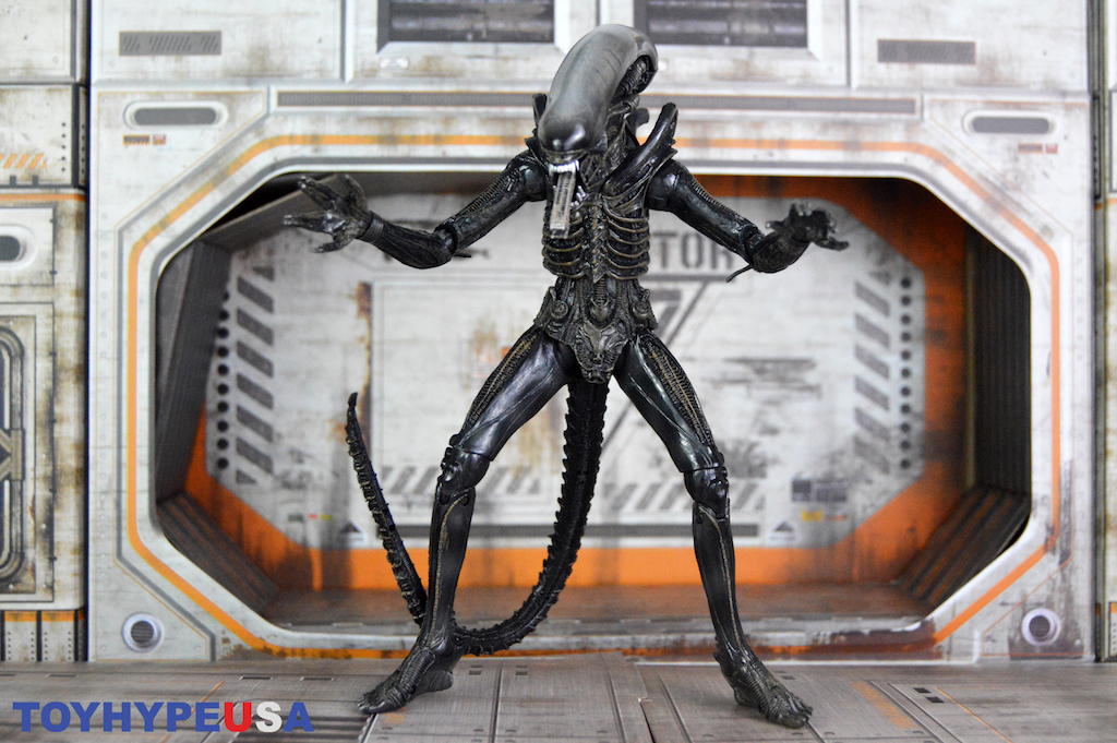 NECA Toys Alien 40th Anniversary Series 3 Figures Review