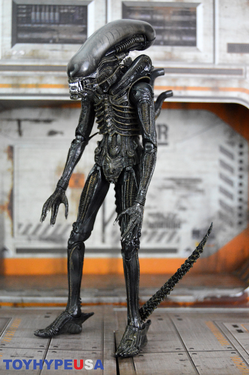 NECA Toys Alien 40th Anniversary Series 3 Figures Review