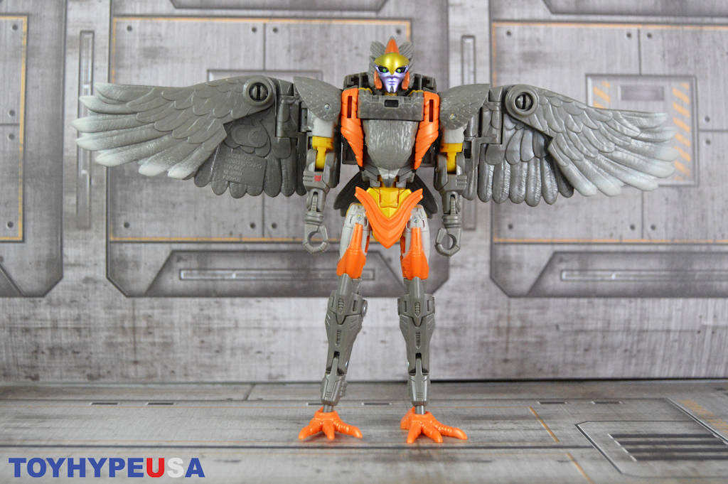 Hasbro Transformers War for Cybertron: Kingdom Airazor Figure Review