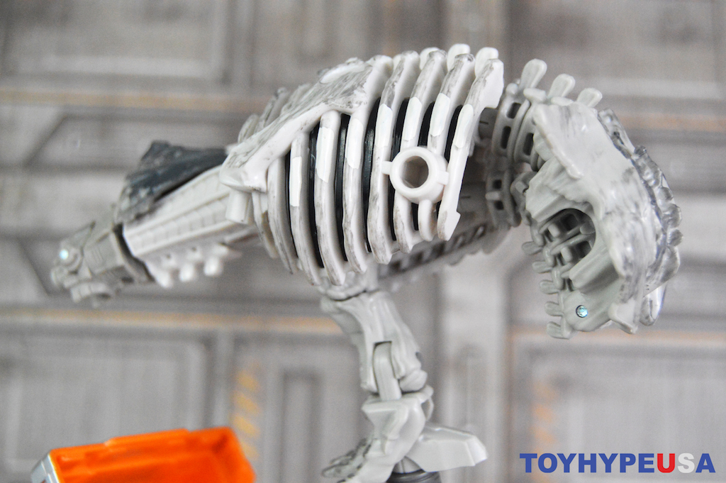 Hasbro Transformers War for Cybertron: Kingdom Ractonite Figure Review