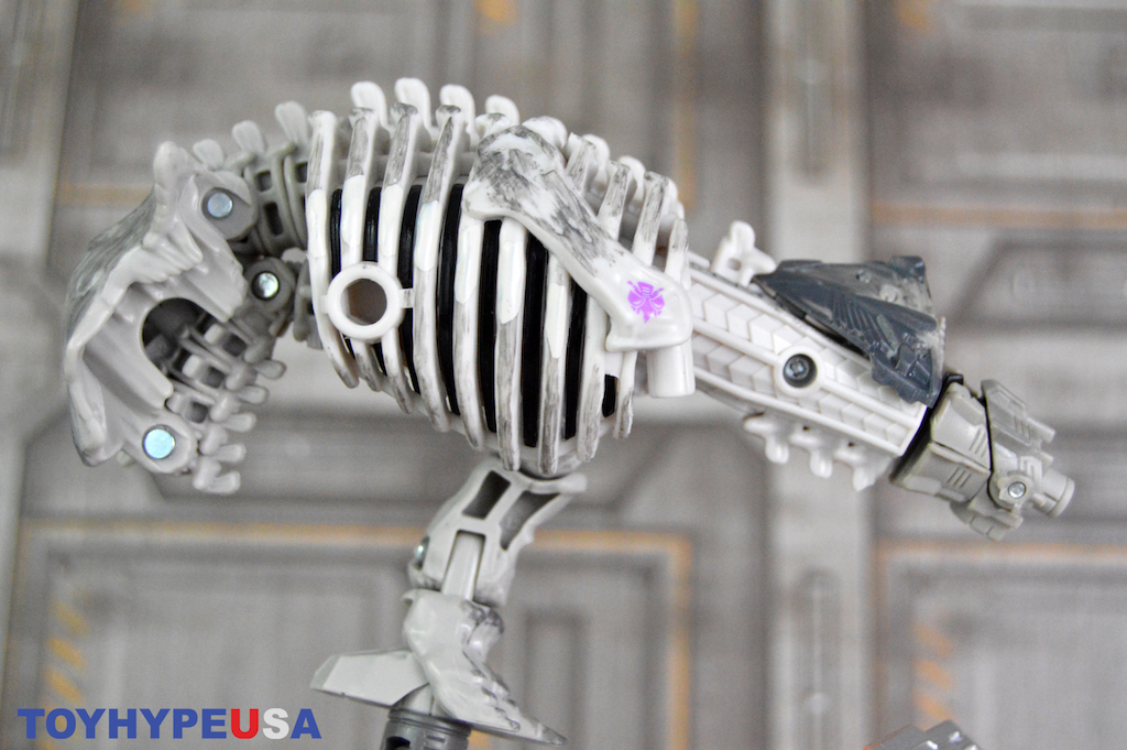 Hasbro Transformers War for Cybertron: Kingdom Ractonite Figure Review