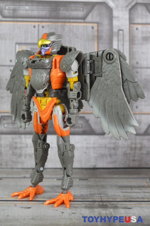 Hasbro Transformers War for Cybertron: Kingdom Airazor Figure Review