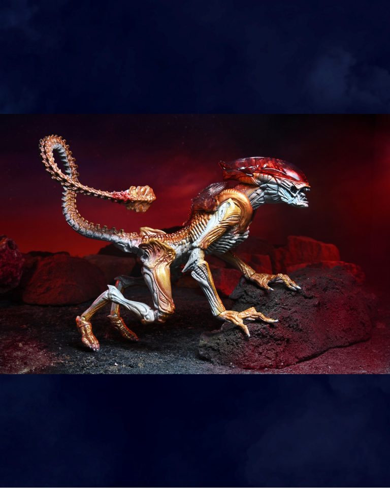NECA Toys Aliens - Kenner Inspired Panther & Night Couger Aliens Figure ...