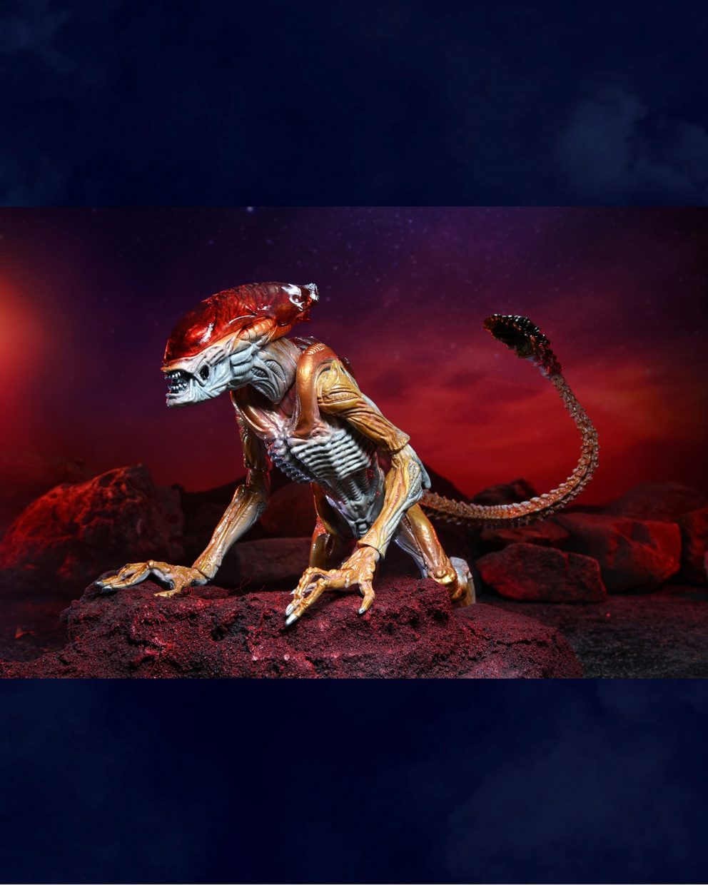 NECA Toys Aliens - Kenner Inspired Panther & Night Couger Aliens Figure ...