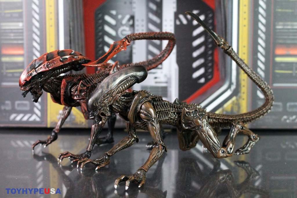 NECA Toys Aliens: Fireteam Elite - Prowler & Runner Alien Figures Review