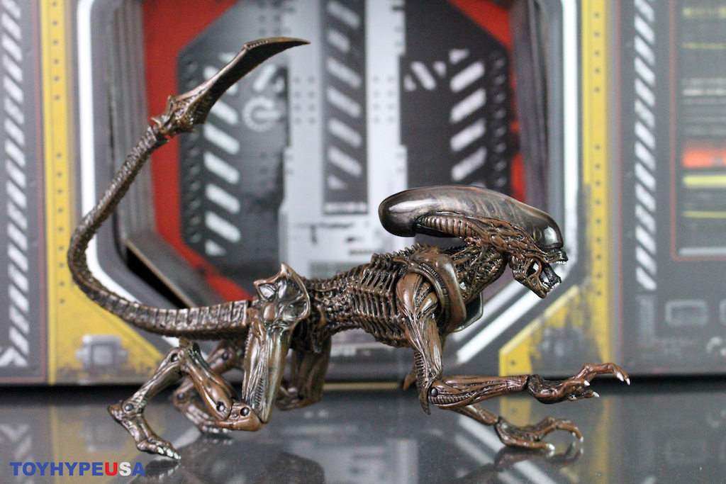 NECA Toys Aliens: Fireteam Elite - Prowler & Runner Alien Figures Review