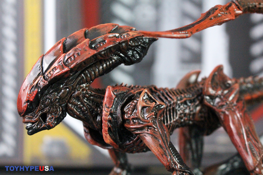 NECA Toys Aliens: Fireteam Elite - Prowler & Runner Alien Figures Review