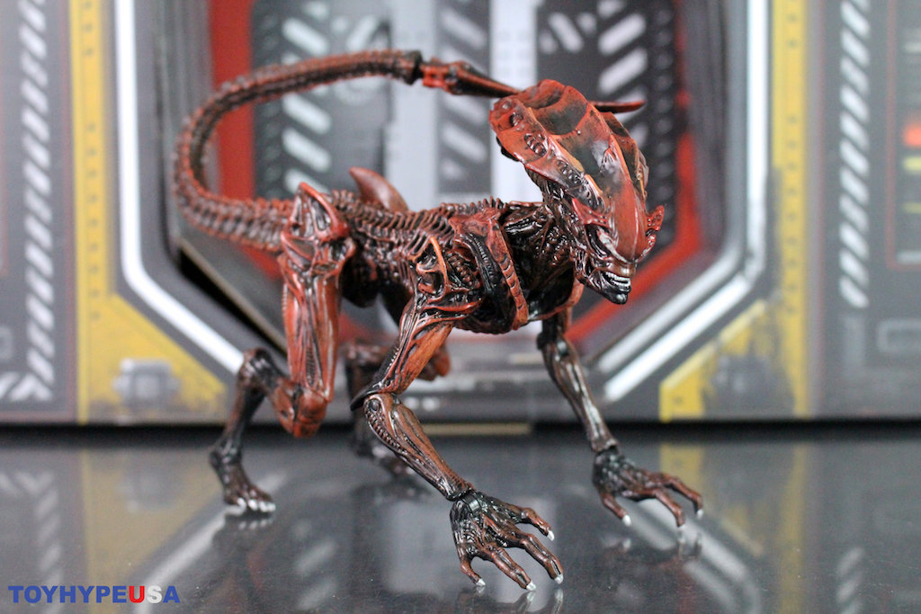 NECA Toys Aliens: Fireteam Elite - Prowler & Runner Alien Figures Review