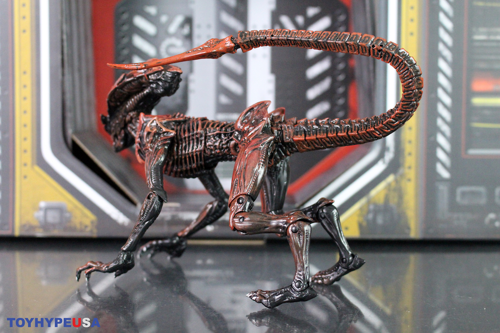 NECA Toys Aliens: Fireteam Elite - Prowler & Runner Alien Figures Review