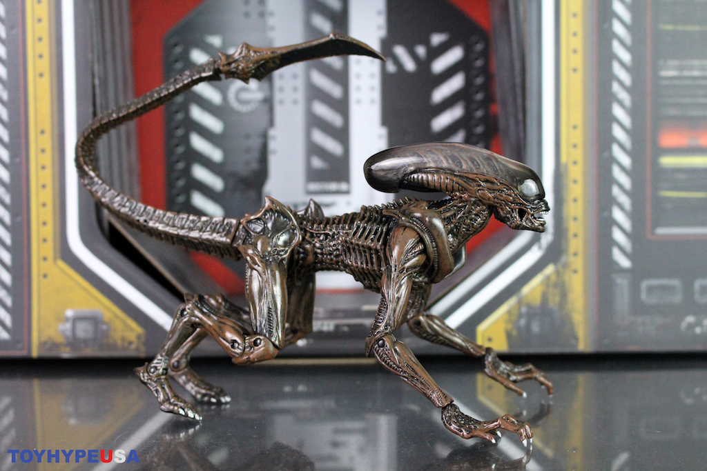 NECA Toys Aliens: Fireteam Elite - Prowler & Runner Alien Figures Review