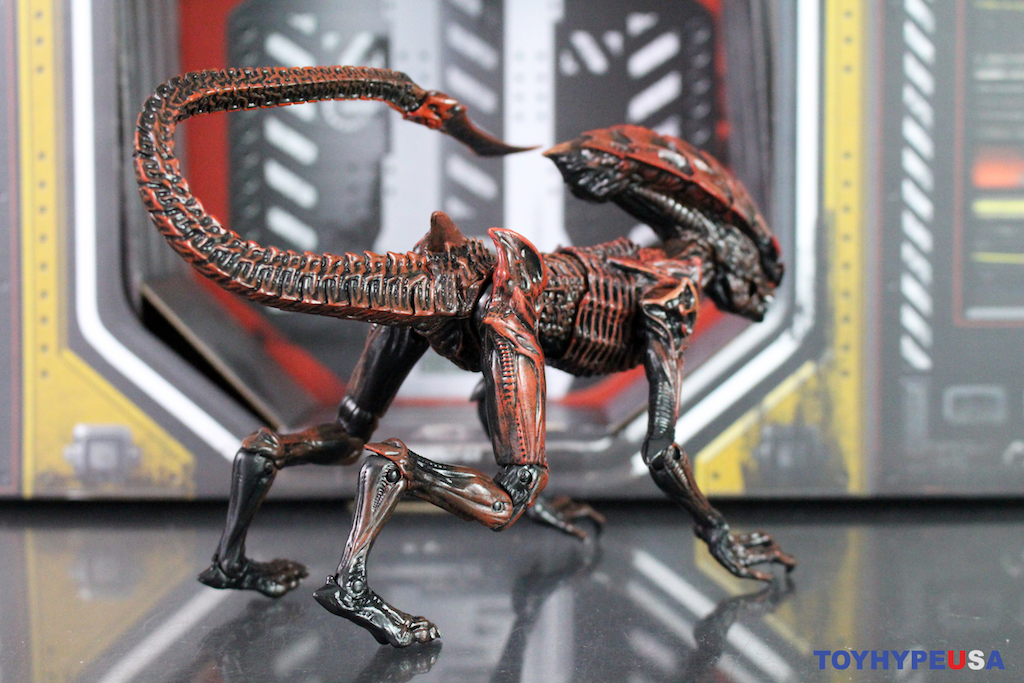 NECA Toys Aliens: Fireteam Elite - Prowler & Runner Alien Figures Review
