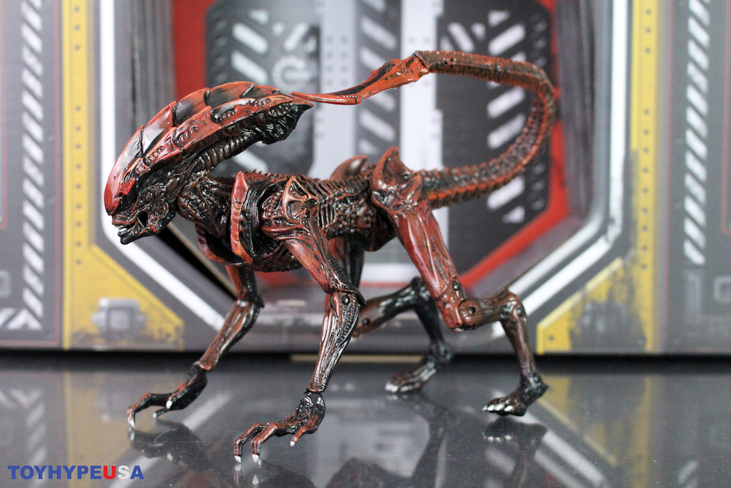 NECA Toys Aliens: Fireteam Elite - Prowler & Runner Alien Figures Review