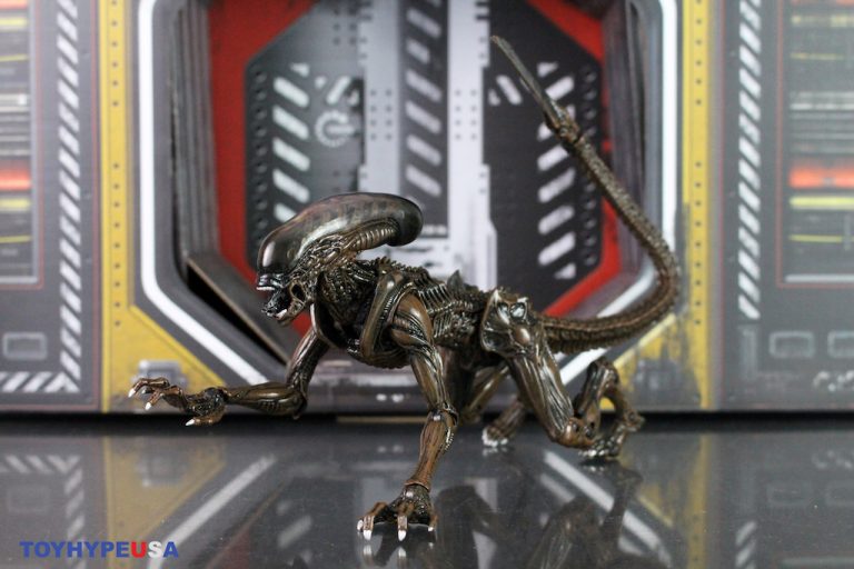 NECA Toys Aliens: Fireteam Elite - Prowler & Runner Alien Figures Review