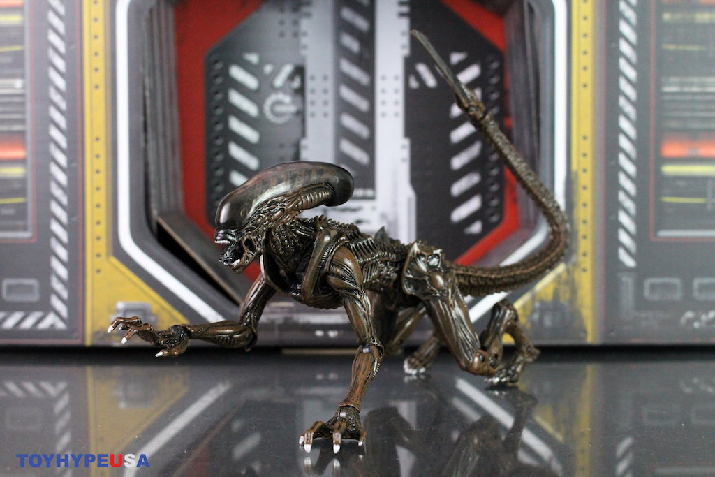 NECA Toys Aliens: Fireteam Elite - Prowler & Runner Alien Figures Review