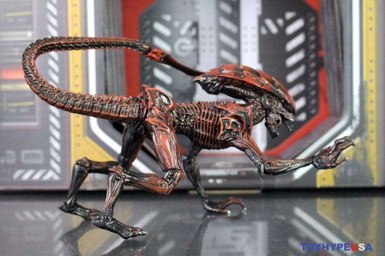 NECA Toys Aliens: Fireteam Elite - Prowler & Runner Alien Figures Review