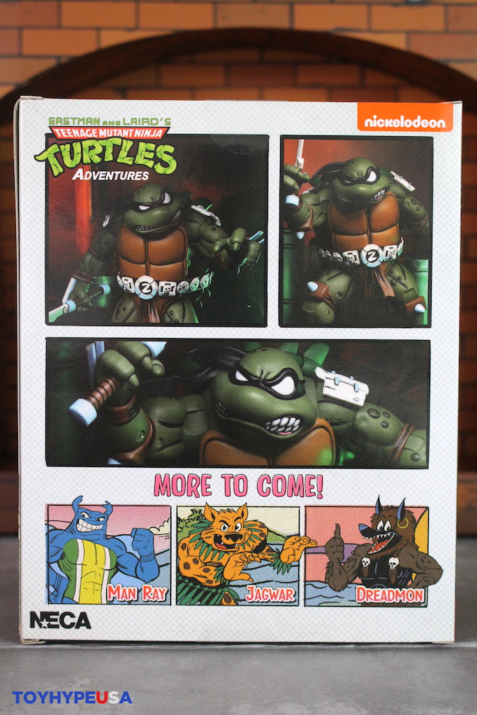 NECA Toys Teenage Mutant Ninja Turtles Adventures Slash Figure Review
