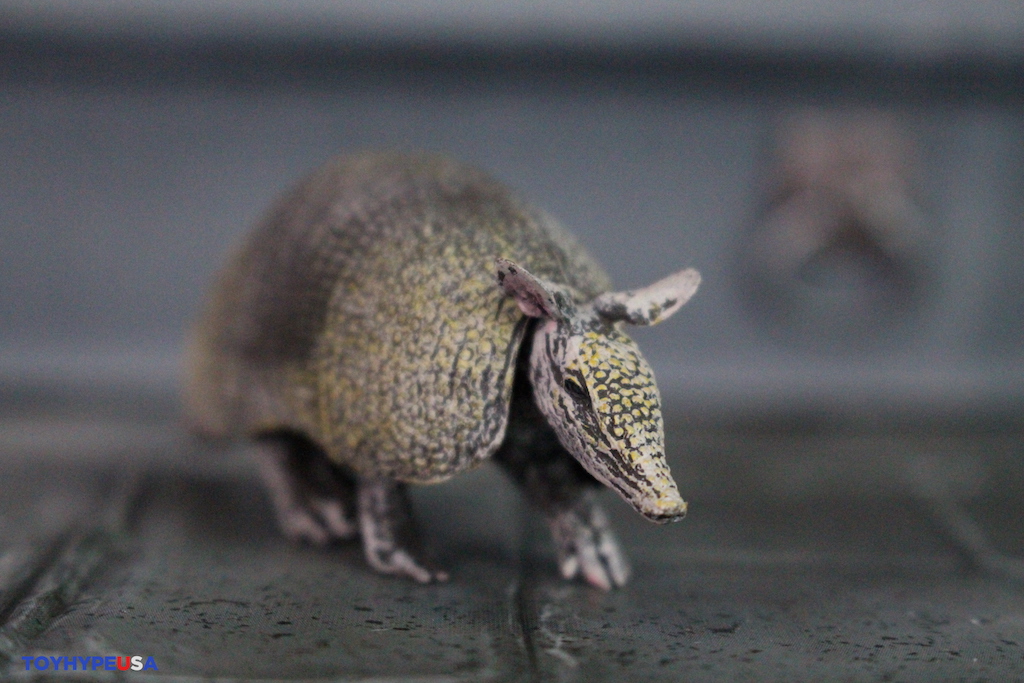 NECA Toys Universal Monsters Dracula Accessory Set Review