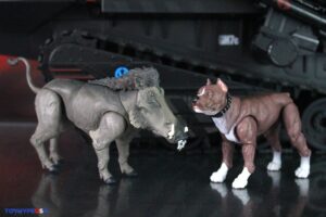 Hasbro G.I. Joe Classified Series 6" Dreadnok Road Pig & Rawkus Pet Dog ...